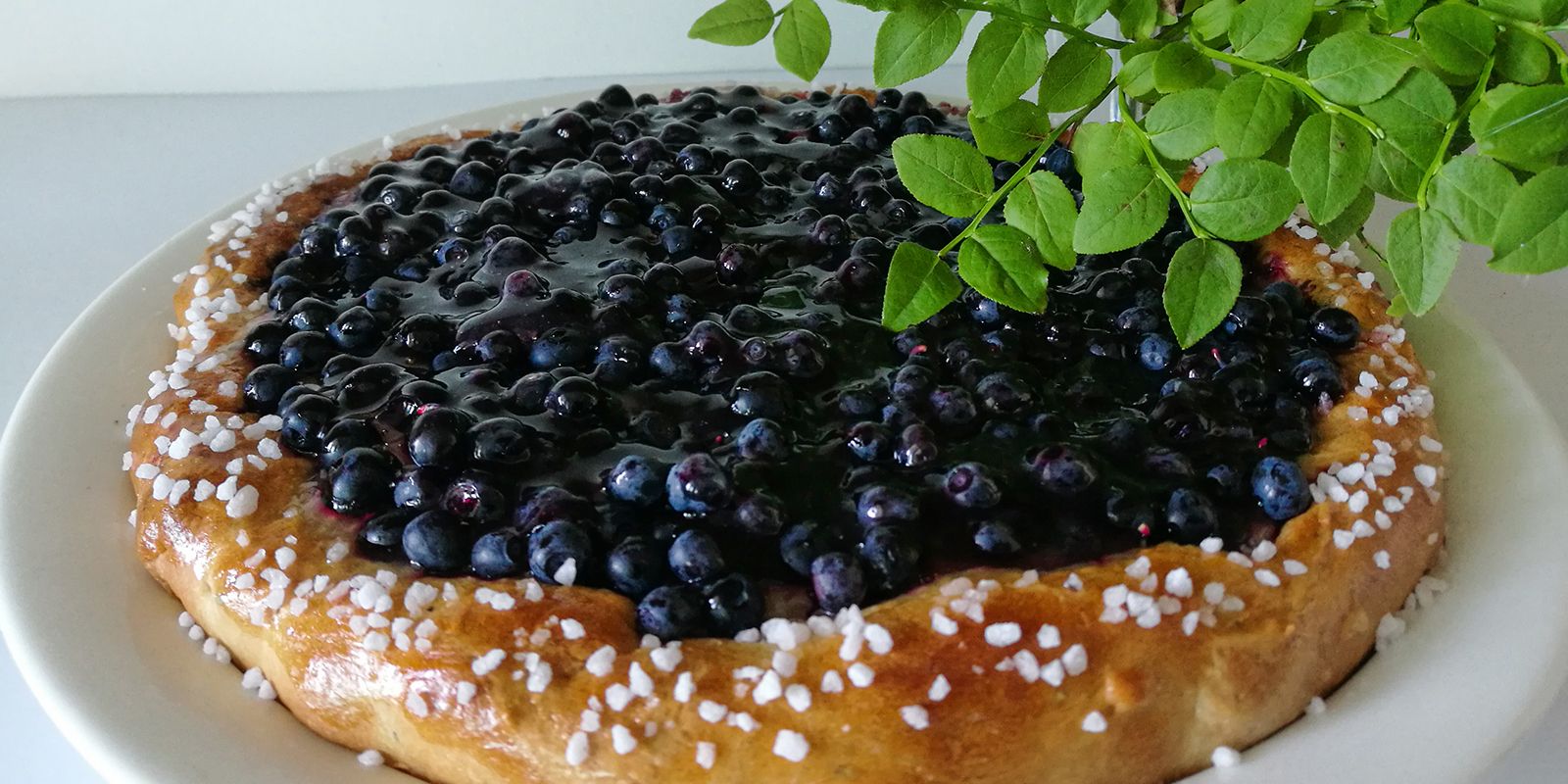 Mustikka-valkosuklaapiirakka | Myllyn Paras